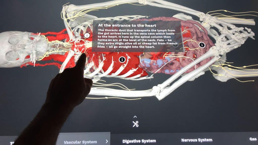 Ima Solutions – Numérisation 3D et Contenus multimédias pour le Patrimoine