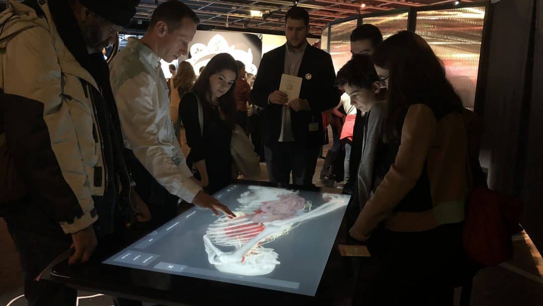 Inside Explorer | Ima Solutions